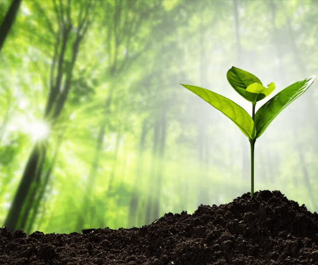Innovation & Expertise in EPC Technologies | Fluor