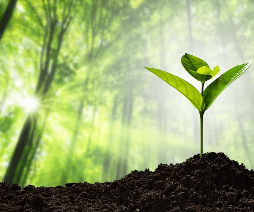 Innovation & Expertise in EPC Technologies | Fluor