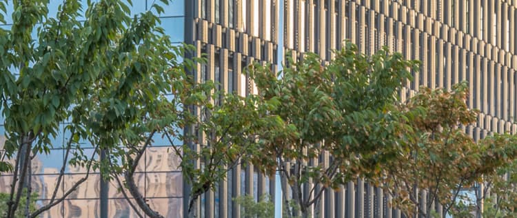 SCIF Construction and Renovation: Fluor Project